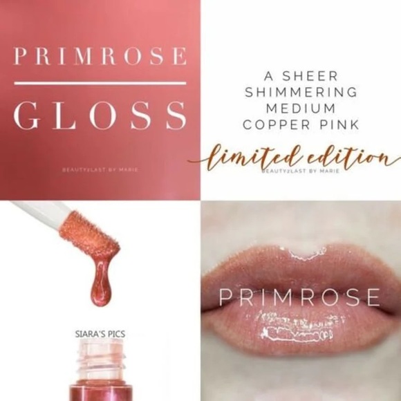 LipSense | Makeup | Primrose Lipsense Gloss | Poshmark